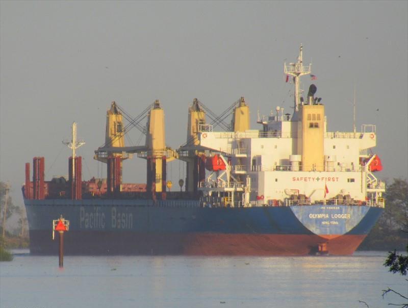 OLYMPIA LOGGER - Vesseljoin