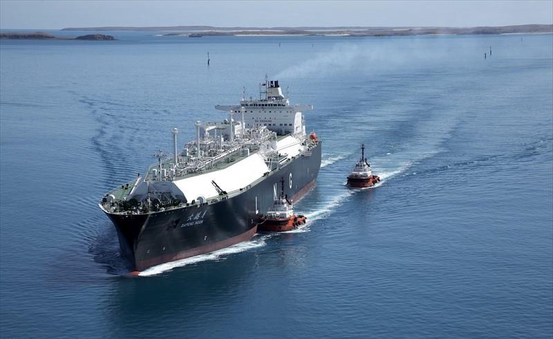 DAPENG MOON - Vesseljoin