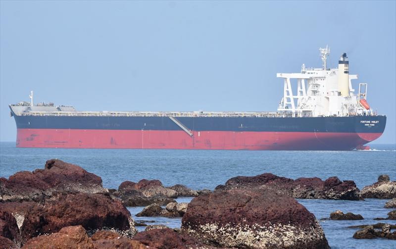 FORTUNE VIOLET - Vesseljoin