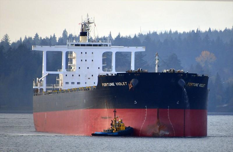 FORTUNE VIOLET - Vesseljoin