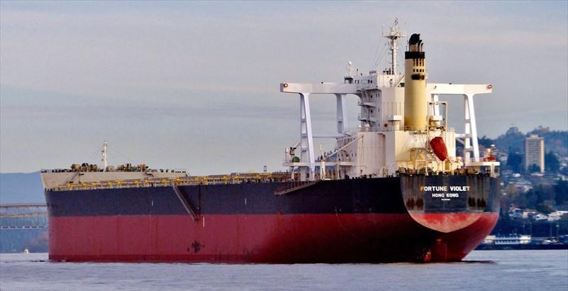 FORTUNE VIOLET - Vesseljoin