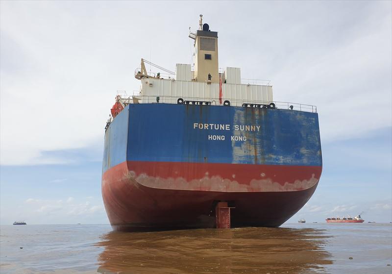 FORTUNE SUNNY - Vesseljoin