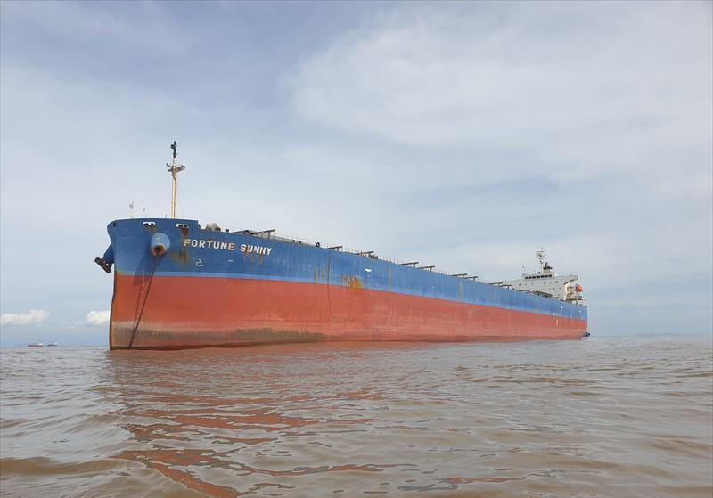 FORTUNE SUNNY - Vesseljoin