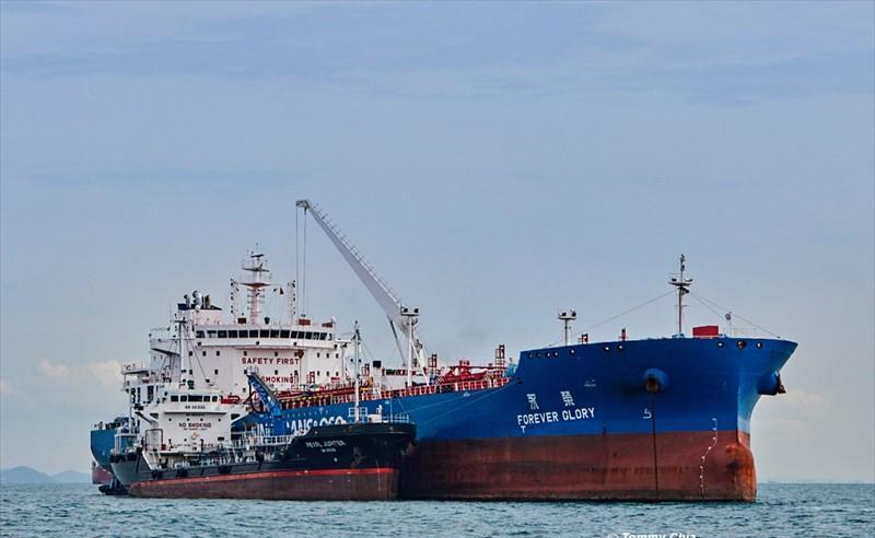 FOREVER GLORY - Vesseljoin