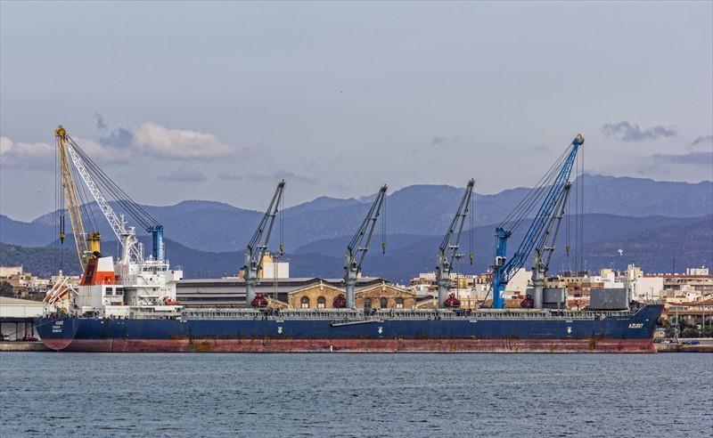 EASTERN AZALEA - Vesseljoin