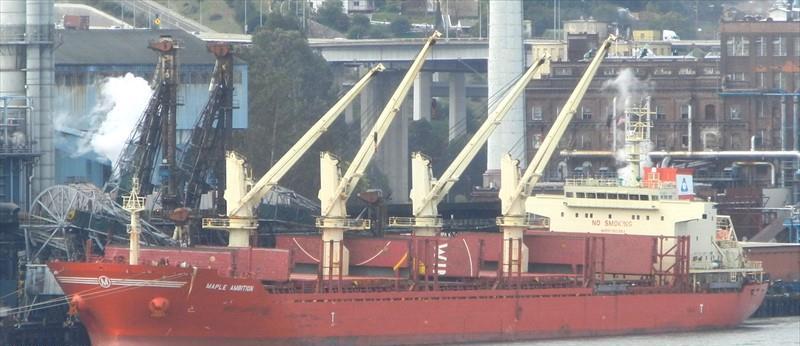 MAPLE AMBITION - Vesseljoin