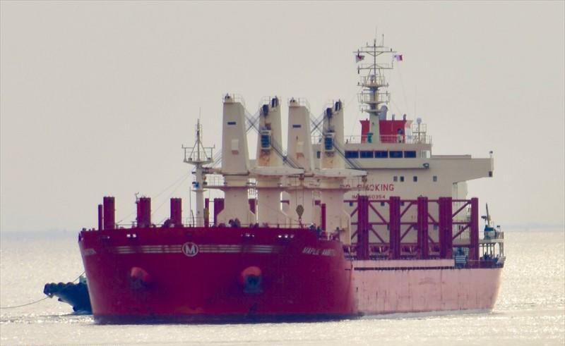 MAPLE AMBITION - Vesseljoin