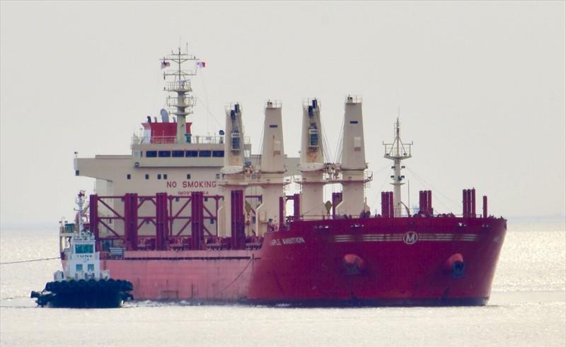 MAPLE AMBITION - Vesseljoin