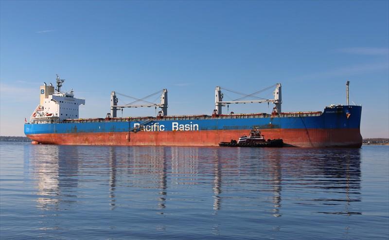 PENGUIN ISLAND - Vesseljoin