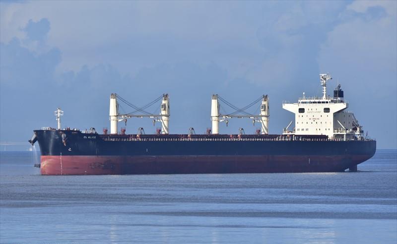 CL ALICE - Vesseljoin