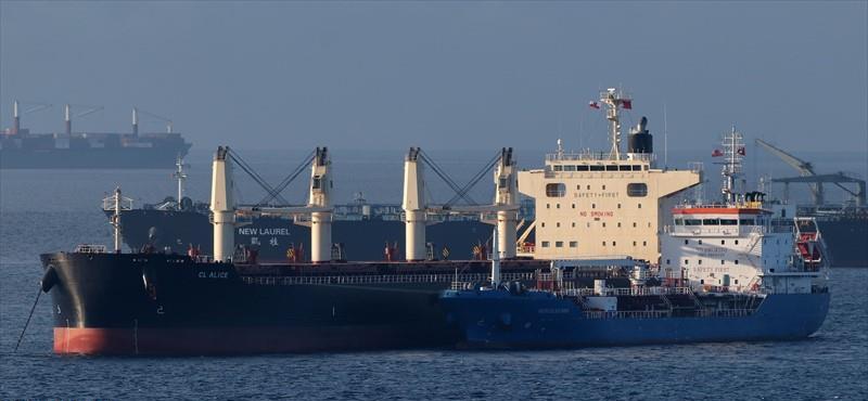 CL ALICE - Vesseljoin