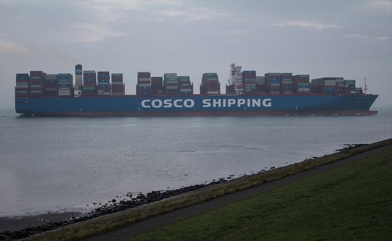 COSCO SHIPPING AZALEA - Vesseljoin