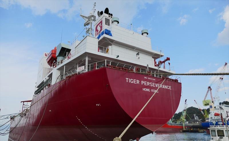 TIGER PERSEVERANCE - Vesseljoin