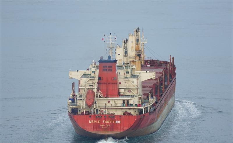 MAPLE FORTITUDE - Vesseljoin