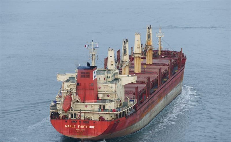 MAPLE FORTITUDE - Vesseljoin