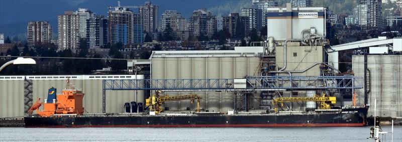 HORIZON RUBY - Vesseljoin