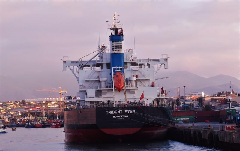 TRIDENT STAR - Vesseljoin