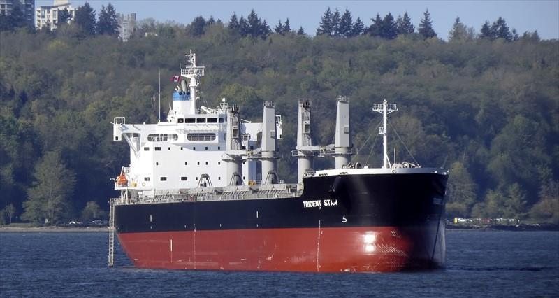 TRIDENT STAR - Vesseljoin