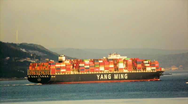 YM WORTH - Vesseljoin