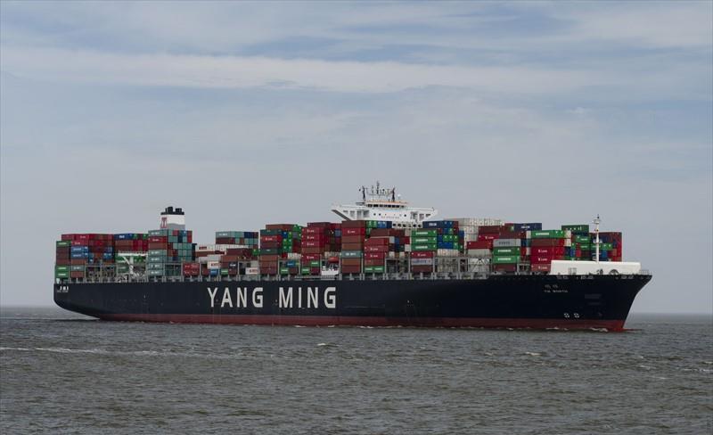 YM WORTH - Vesseljoin