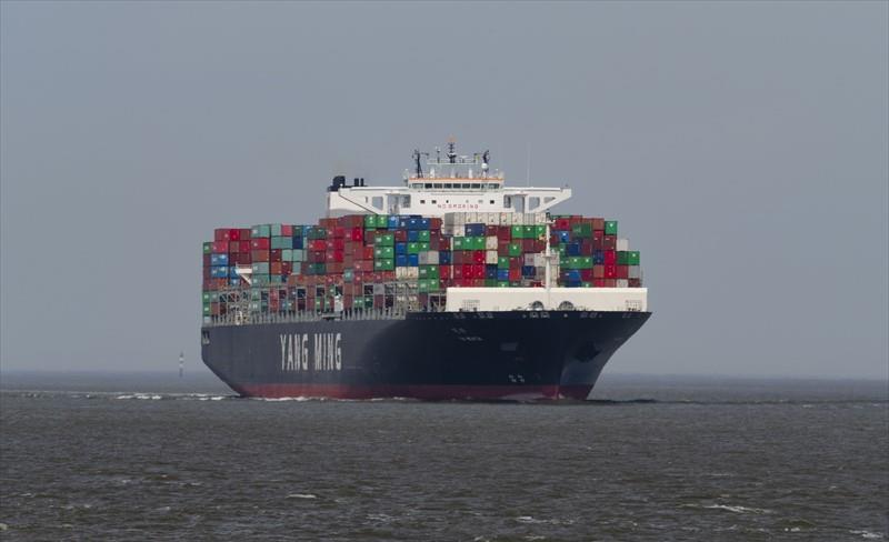 YM WORTH - Vesseljoin