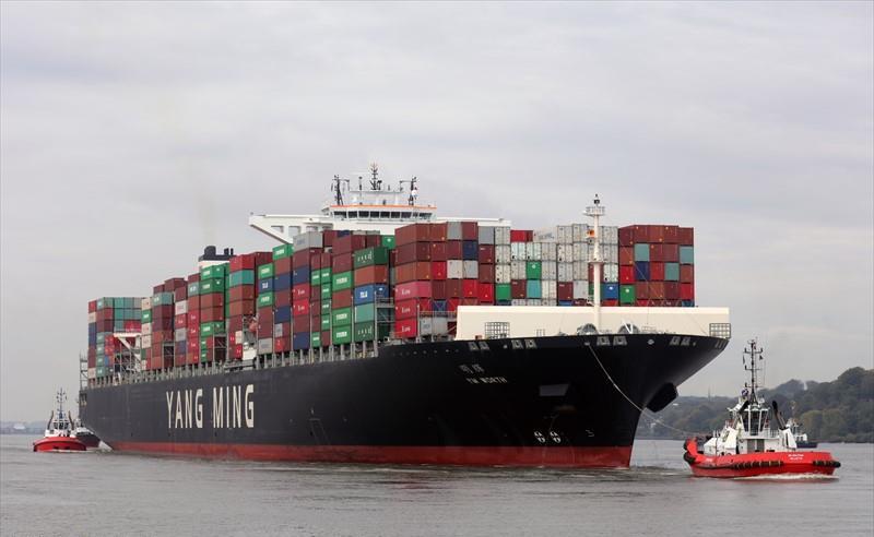 YM WORTH - Vesseljoin