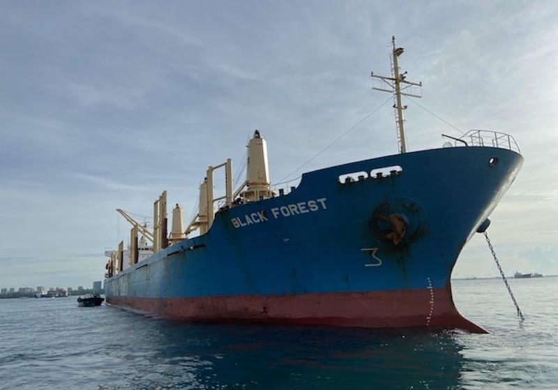 BLACK FOREST - Vesseljoin