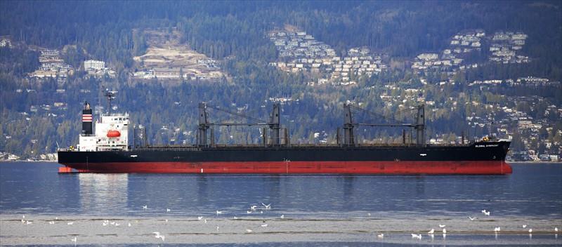 GLOBAL SYMPHONY - Vesseljoin