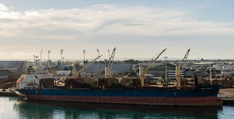 VICTORIA HARBOUR - Vesseljoin