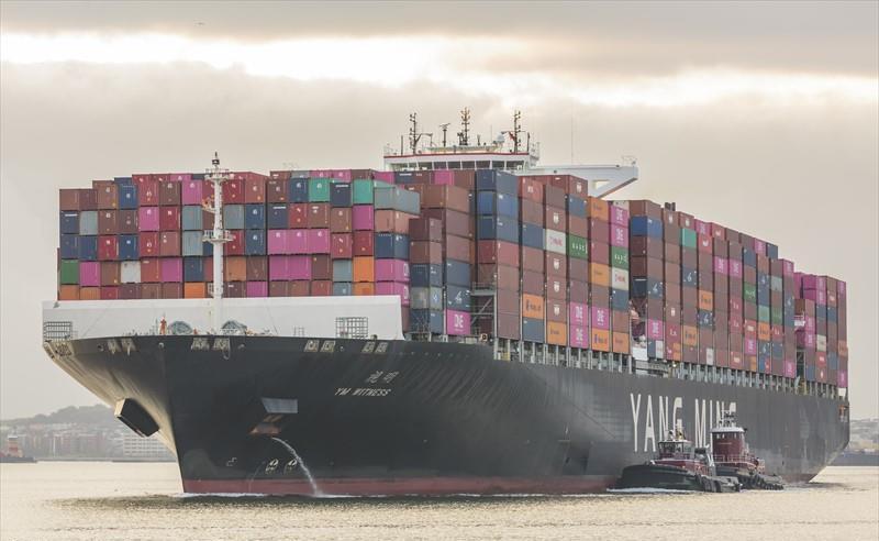 YM WITNESS - Vesseljoin