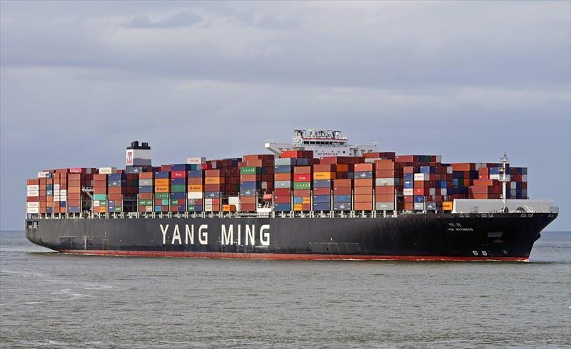 YM WITNESS - Vesseljoin