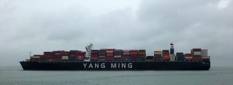 YM WITNESS - Vesseljoin