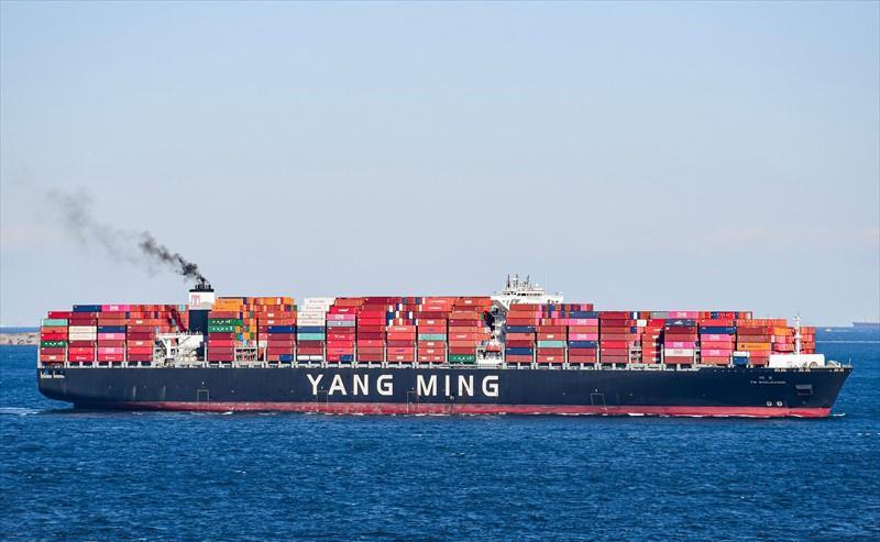 YM WHOLESOME - Vesseljoin