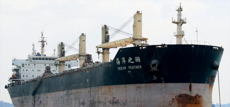 OCEAN FEATHER - Vesseljoin