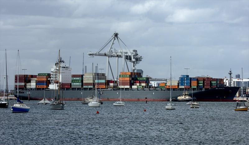 BEA SCHULTE - Vesseljoin