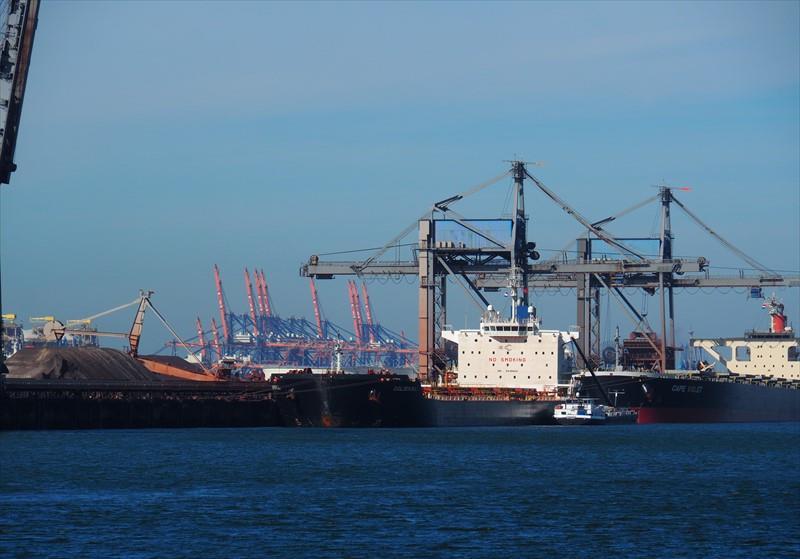 GOLDEN BULL - Vesseljoin