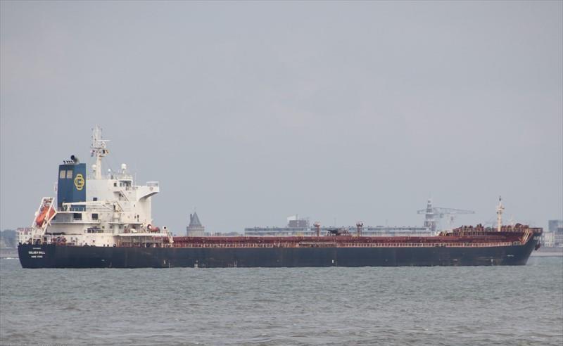 GOLDEN BULL - Vesseljoin