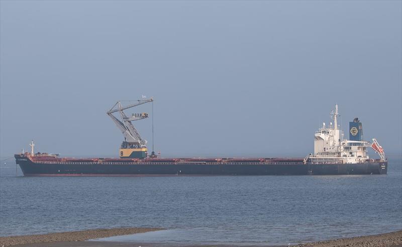 GOLDEN BULL - Vesseljoin