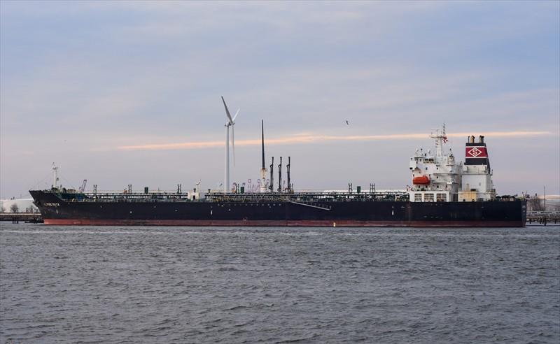 ALPINE MAYA - Vesseljoin