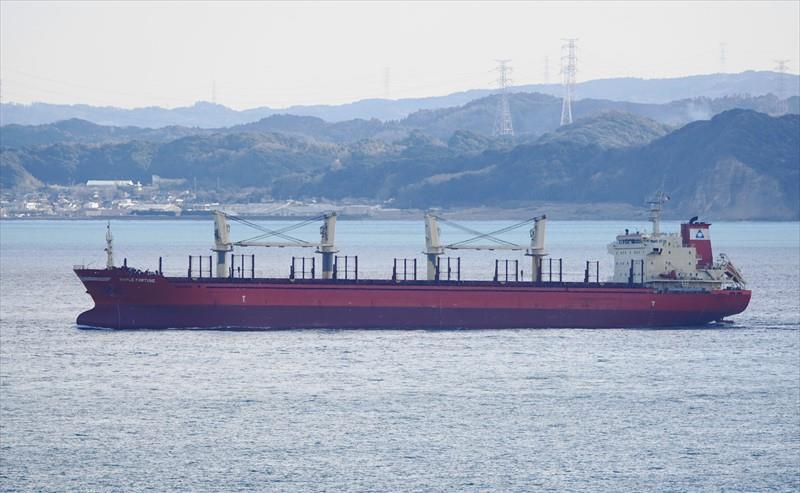 MAPLE FORTUNE - Vesseljoin