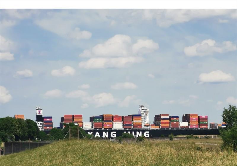 YM WINDOW - Vesseljoin