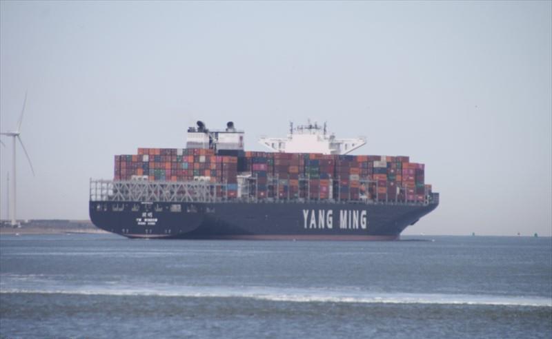 YM WINDOW - Vesseljoin