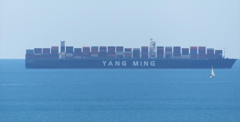 YM WINDOW - Vesseljoin