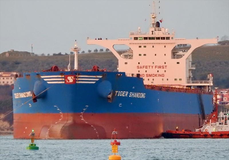 TIGER SHANDONG - Vesseljoin