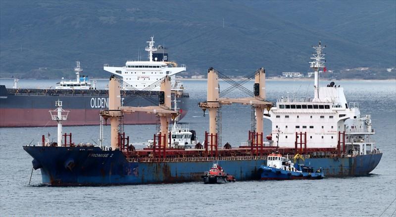 PROMISE 2 - Vesseljoin