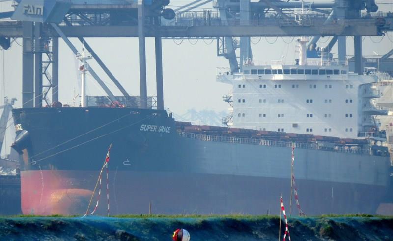 SUPER GRACE (Bulk Carrier) - IMO: 9576272 | Vessel Details