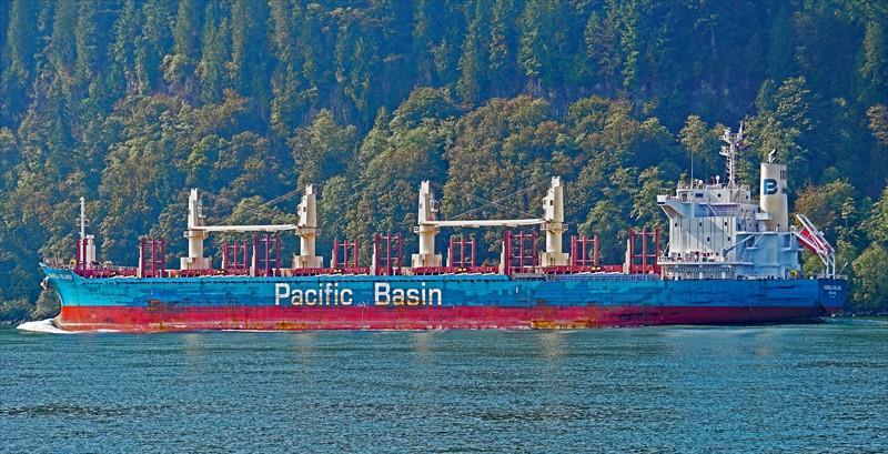 ISABELA ISLAND - Vesseljoin