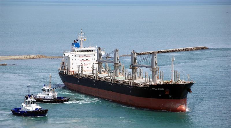 MAPLE BREEZE - Vesseljoin