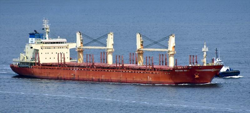 WESTERN MAPLE - Vesseljoin