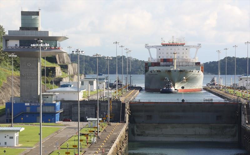 COSCO SHIPPING DANUBE - Vesseljoin